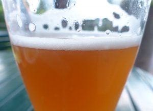 15 Different Types and Styles of IPAs