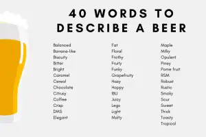 40 Words to Best Describe Your Beer and Sound Like a Pro
