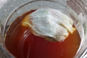 What Are the Best Hops for Dry Hopping Your Homebrew?