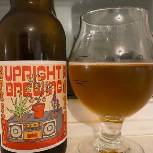 12 Best Beers Without Hops for People That Dislike Them